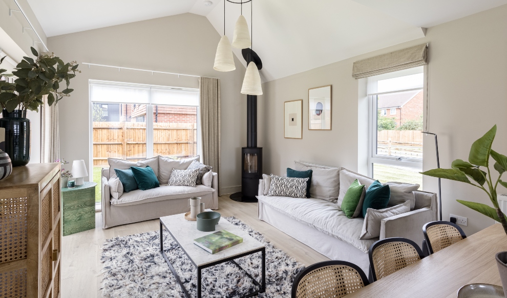 Amber Parkside - The Development